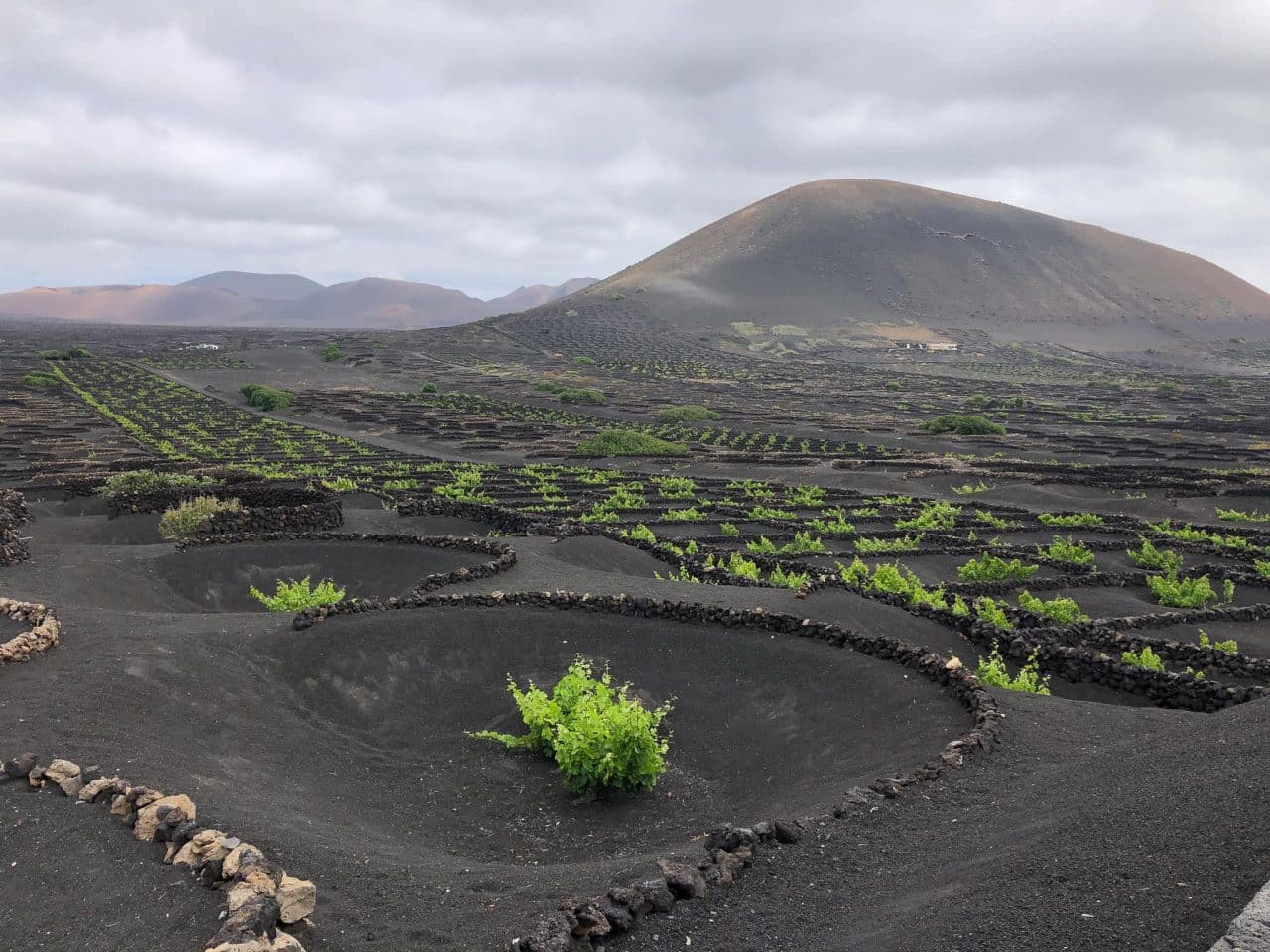 île de Lanzarote : explore la plus volcanique des îles Canaries