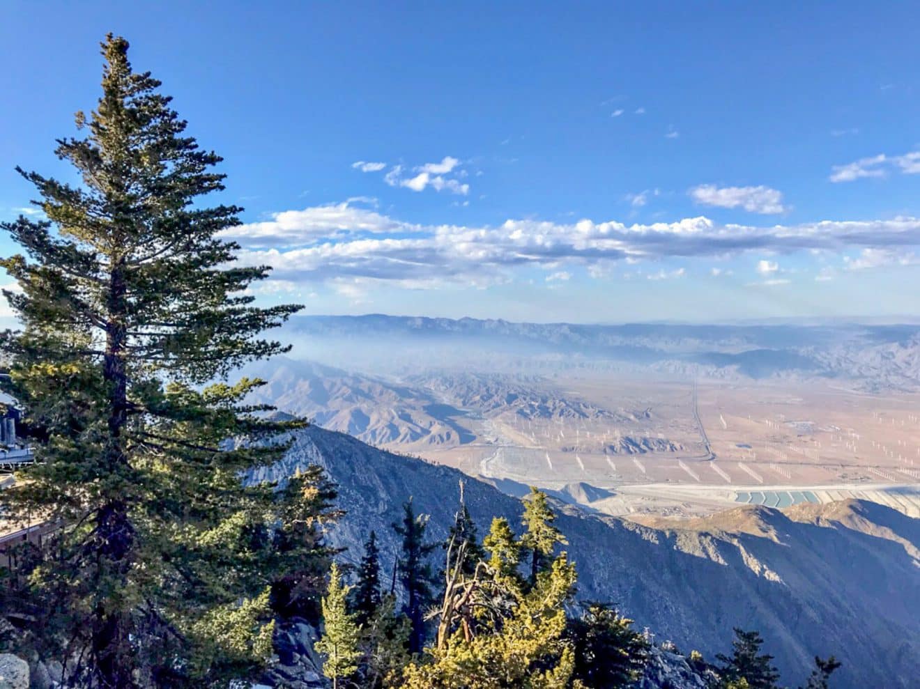 Visiter Palm Springs : escapade envoûtante dans le désert