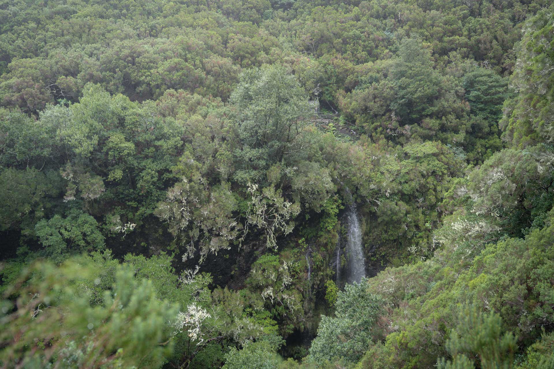 Levada das 25 Fontes : une des plus belles randonnées à Madère - Ephemeos