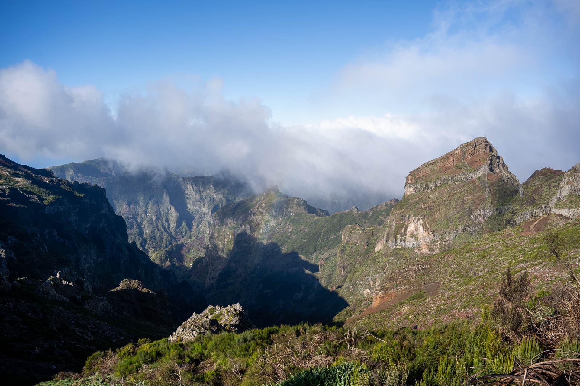 Forêt de Fanal à Madère : guide pour une exploration mystique