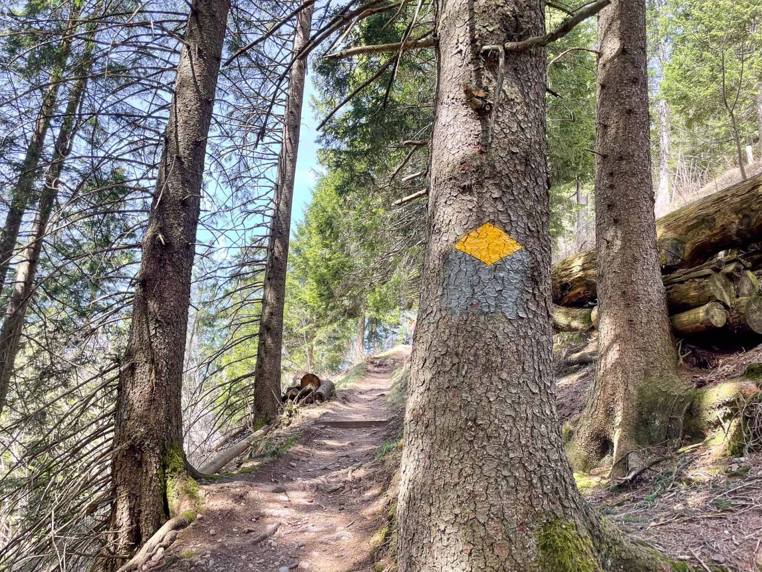 Le Mont Rigi : guide pratique pour un séjour magique - Ephemeos