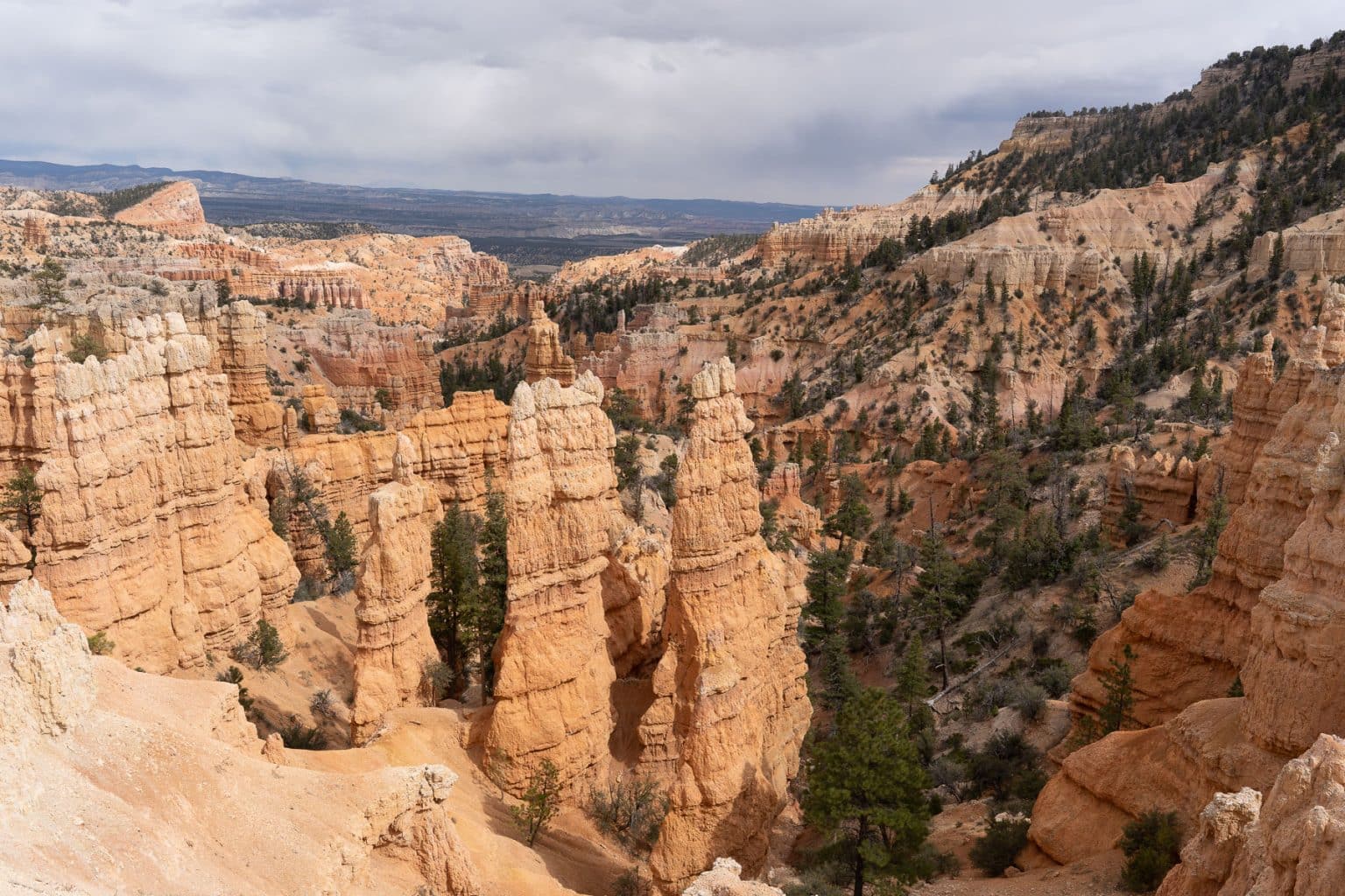 Visiter Bryce Canyon : randos, accès, conseils pour ta visite unique