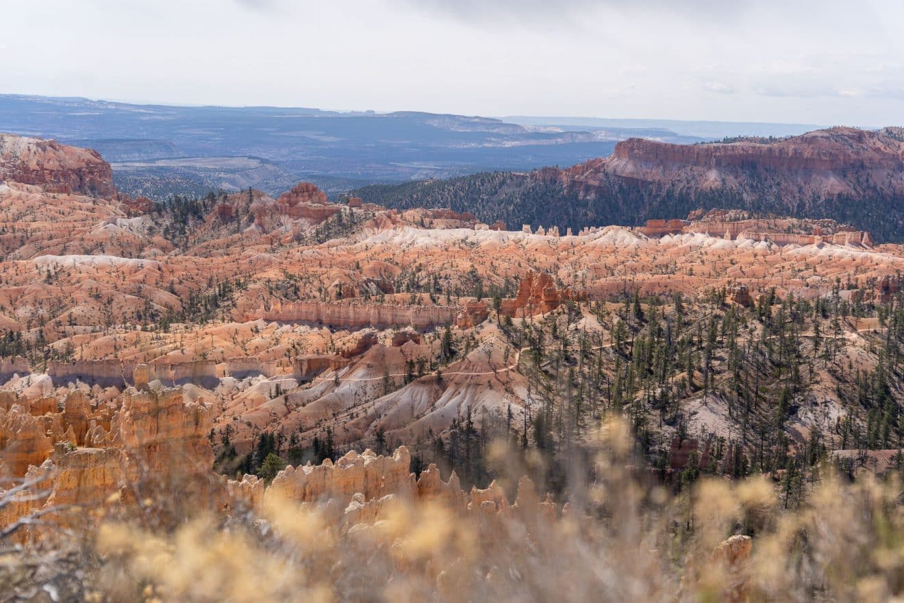 Visiter Bryce Canyon : randos, accès, conseils pour ta visite unique